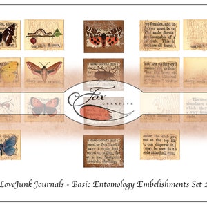 Entomology Digital Embellishment. Mini Basic Entomology Set 2. DIGI18 ...