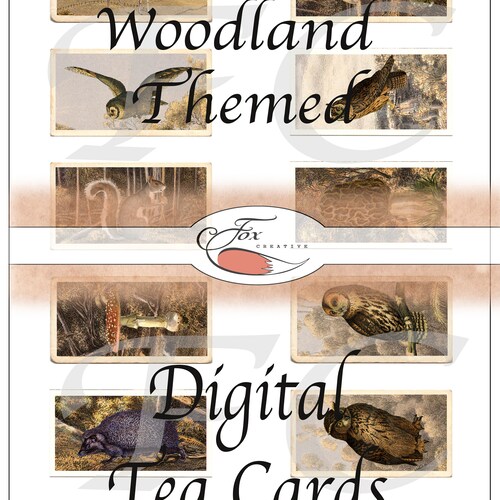 Floral Digital Tea Cards. Faux Tea Cards. Set 2 DIGI18 48 | Etsy