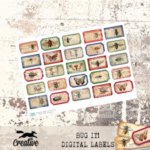BUG IT! Digital Labels, Printable Entomology Journal/scrapbooking Kit ...