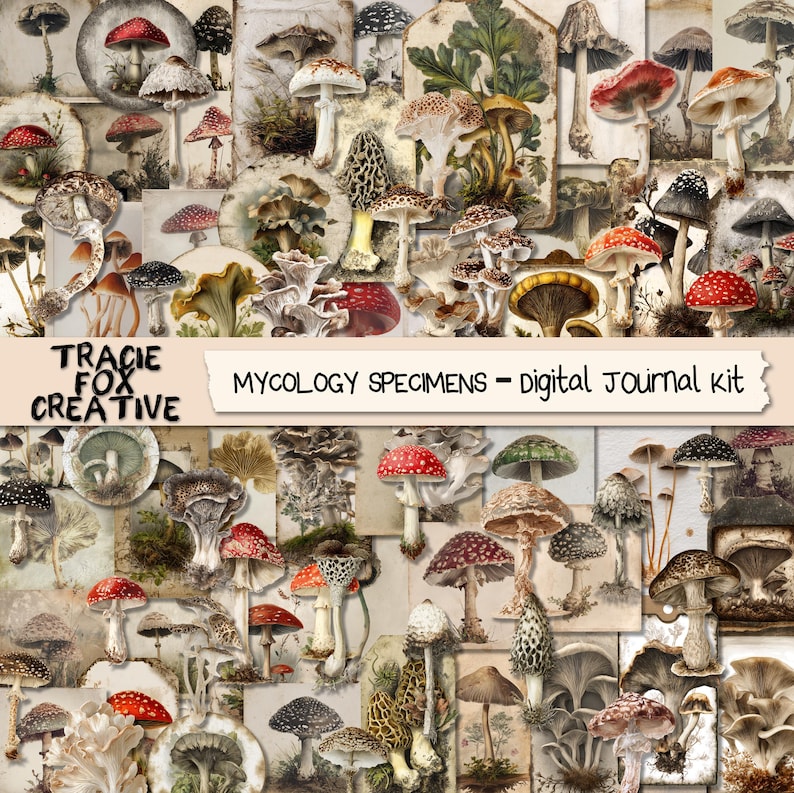 Mushroom Ephemera Kit: Toadstool Fussy Cuts for Junk Journals (digital ...