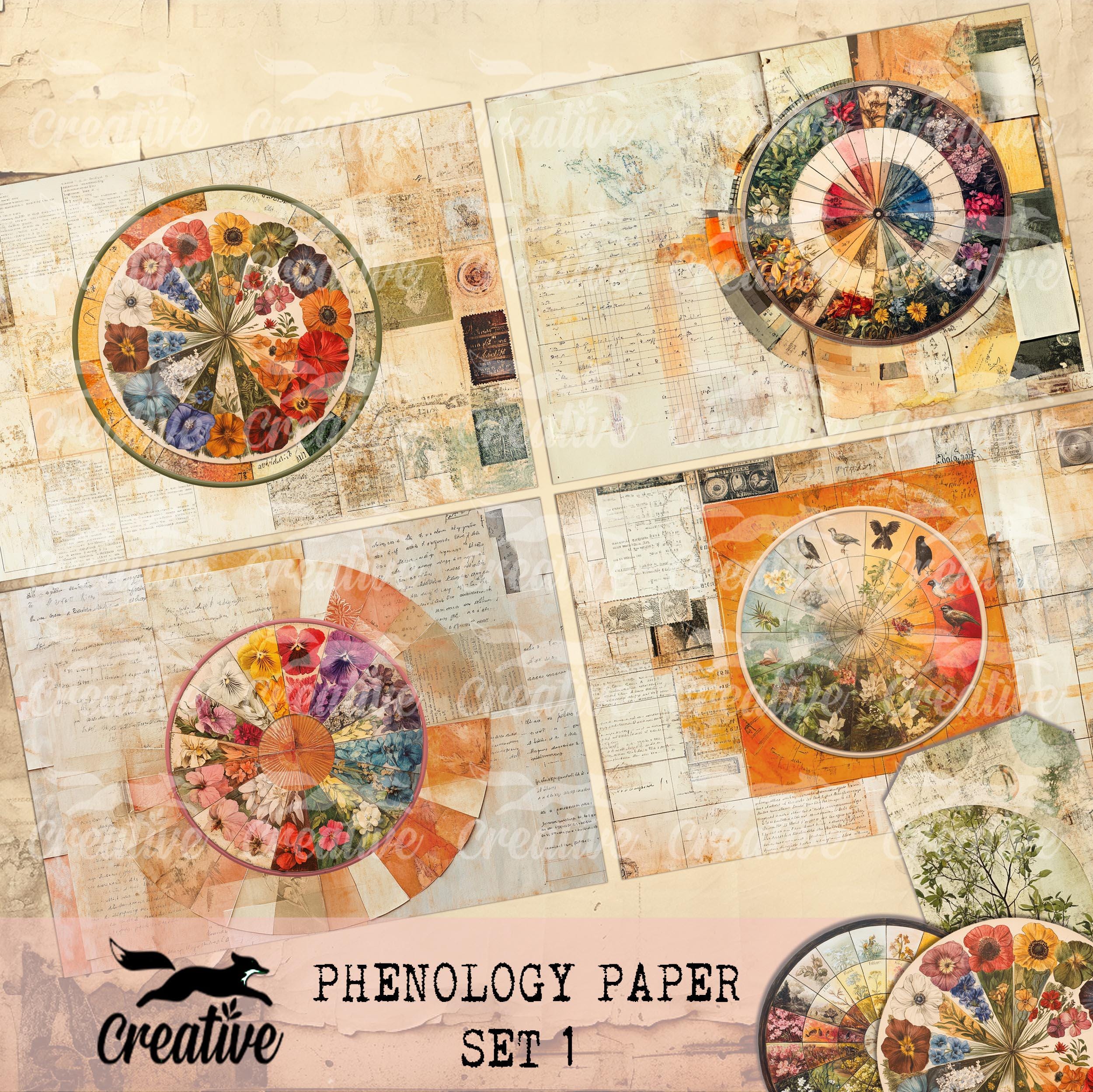 PHENOLOGY Paper Set 1, Journal/scrapbooking Digital Kit, DIGI2507 - Etsy
