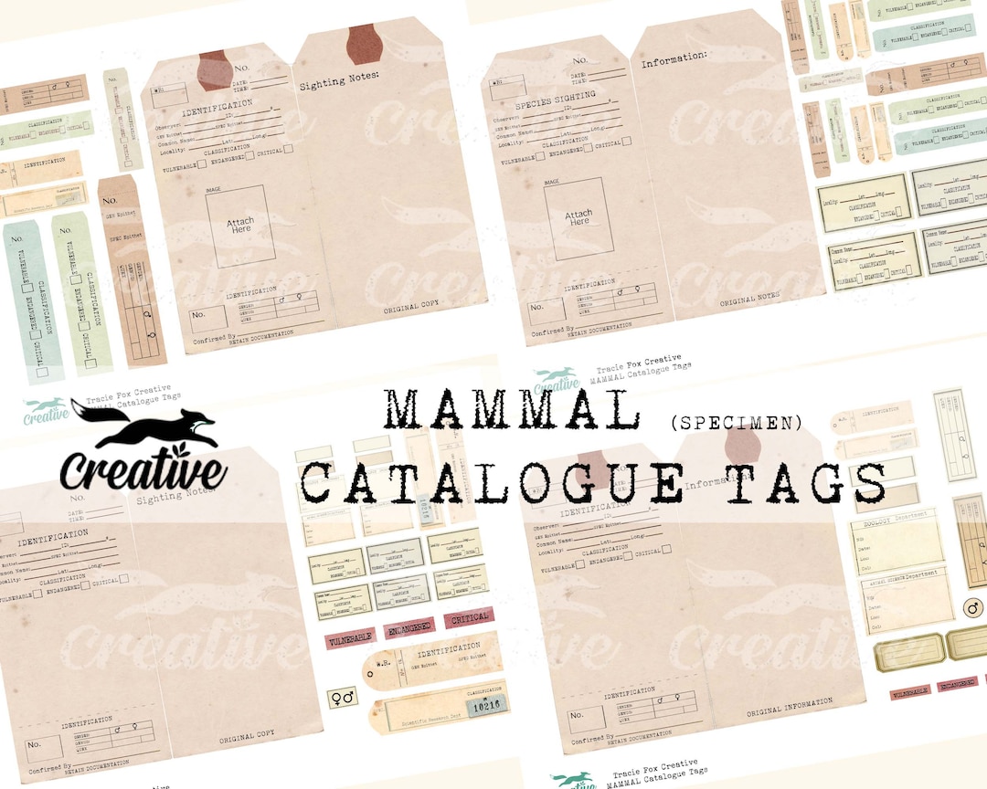 Mammal Specimen Catalogue Tags, DIGI22 16,mammal/animal Layered Tags ...