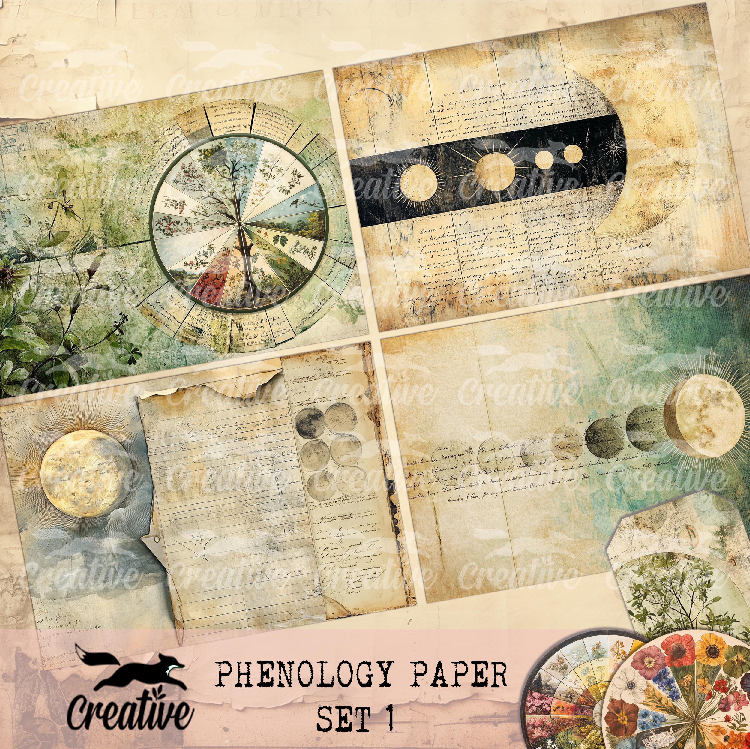 PHENOLOGY Paper Set 1, Journal/scrapbooking Digital Kit, DIGI2507 - Etsy