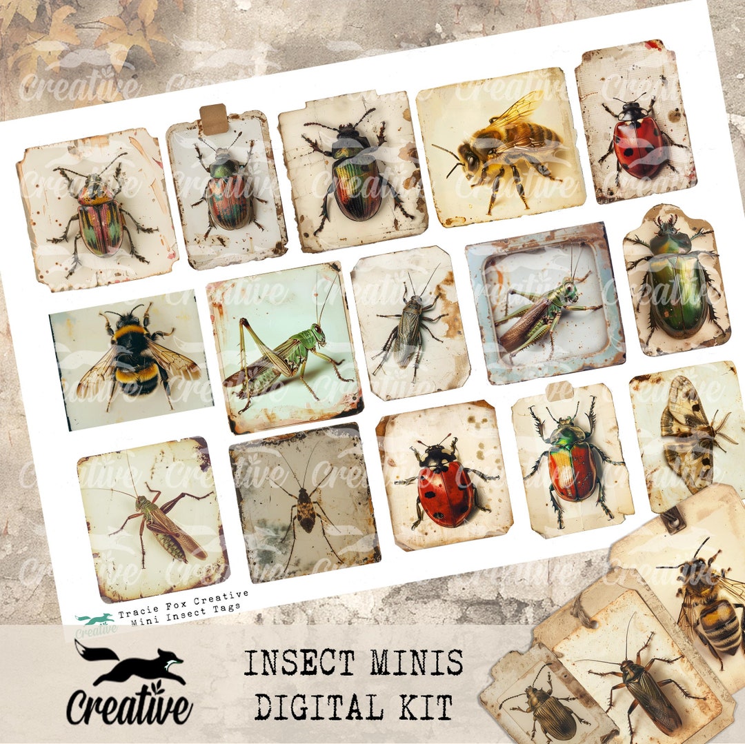 INSECT MINIS, Digital Bugs, Insect Ephemera, Journal/scrapbooking Kit ...