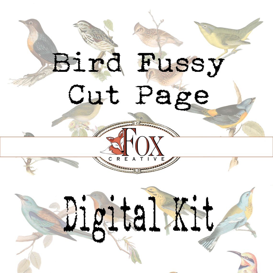 Bird Images Fussy Cut Pages Birds Digital Kit DIGI19 49 - Etsy