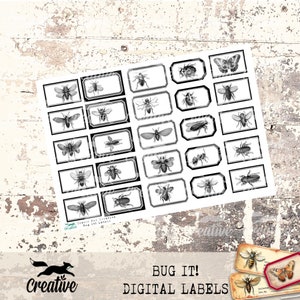 Bug It Digital Labels, Etomology Themed Labels, DIGI23 48B - Etsy