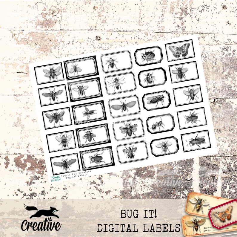 BUG IT! Digital Labels, Printable Entomology Journal/scrapbooking Kit ...