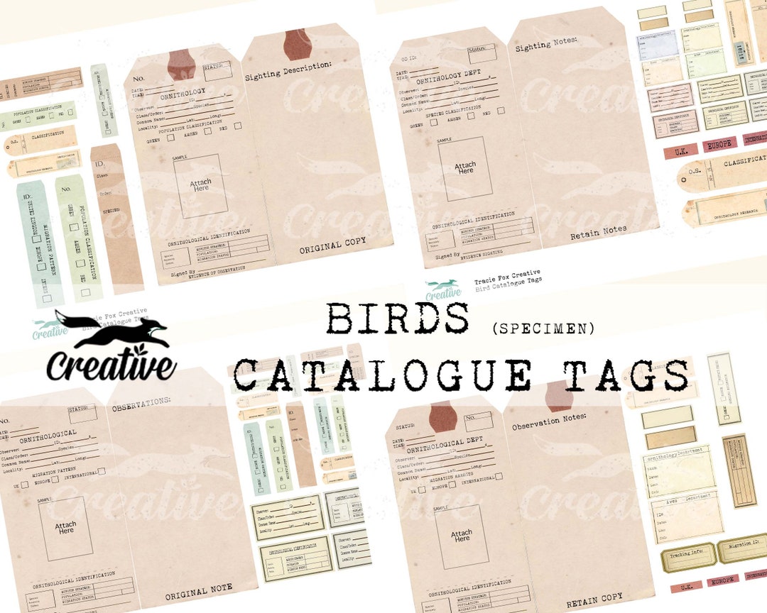BIRD SPECIMEN CATALOGUE Tags, Journal Cards Digital Kit, Bird Layered ...