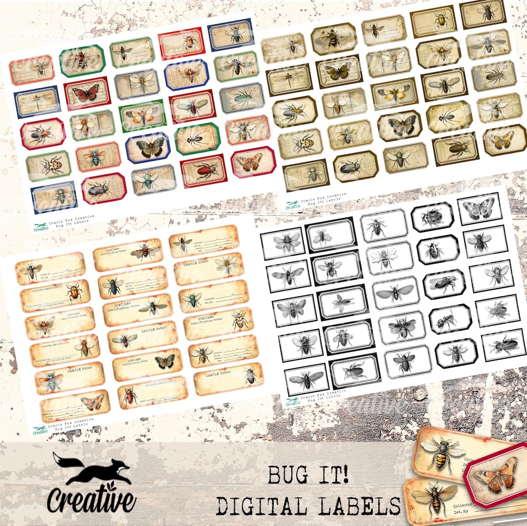 BUG IT! Digital Labels, Printable Entomology Journal/scrapbooking Kit ...