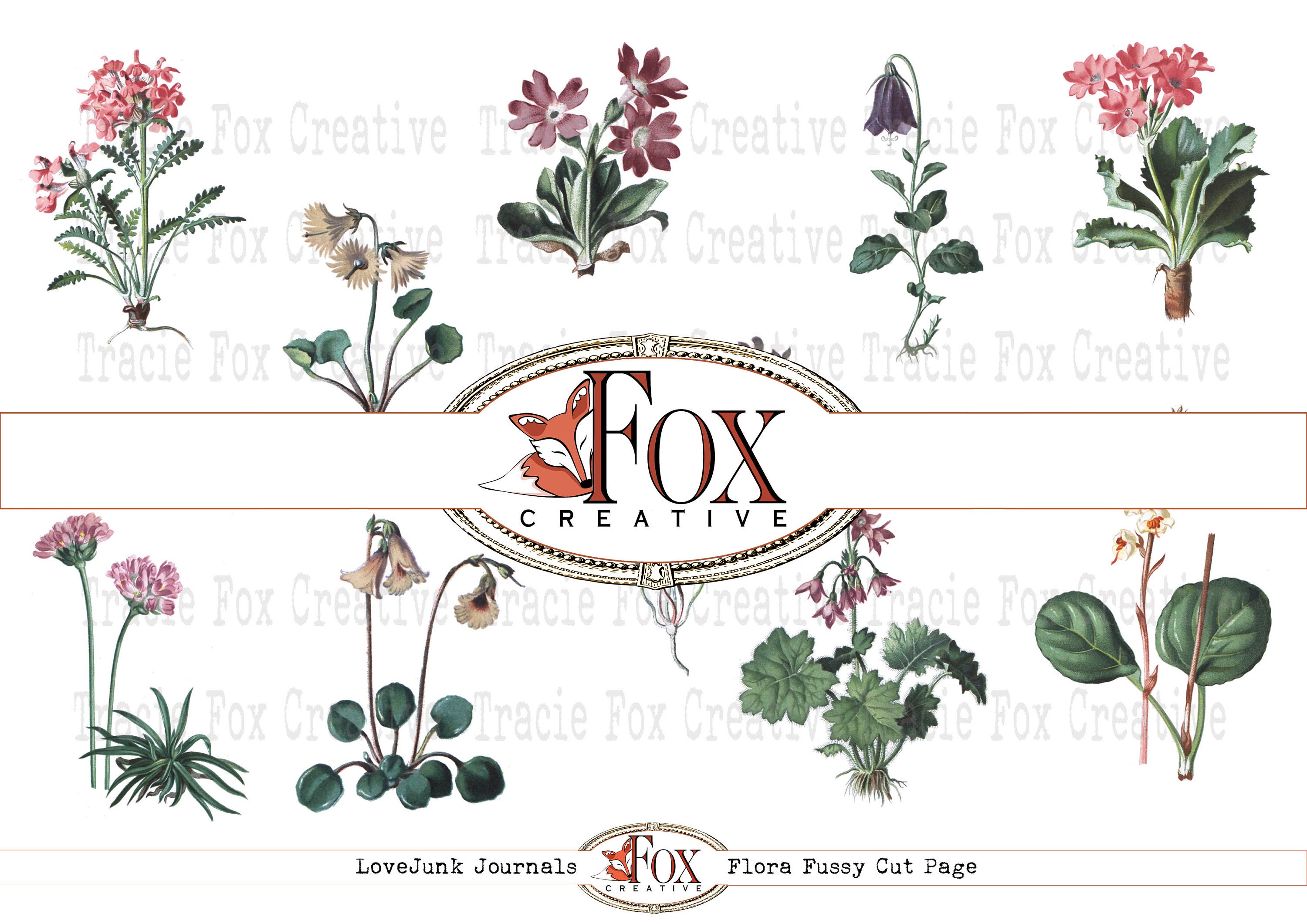Floral/botanical Images Fussy Cut Pages Flora Digital Kit | Etsy