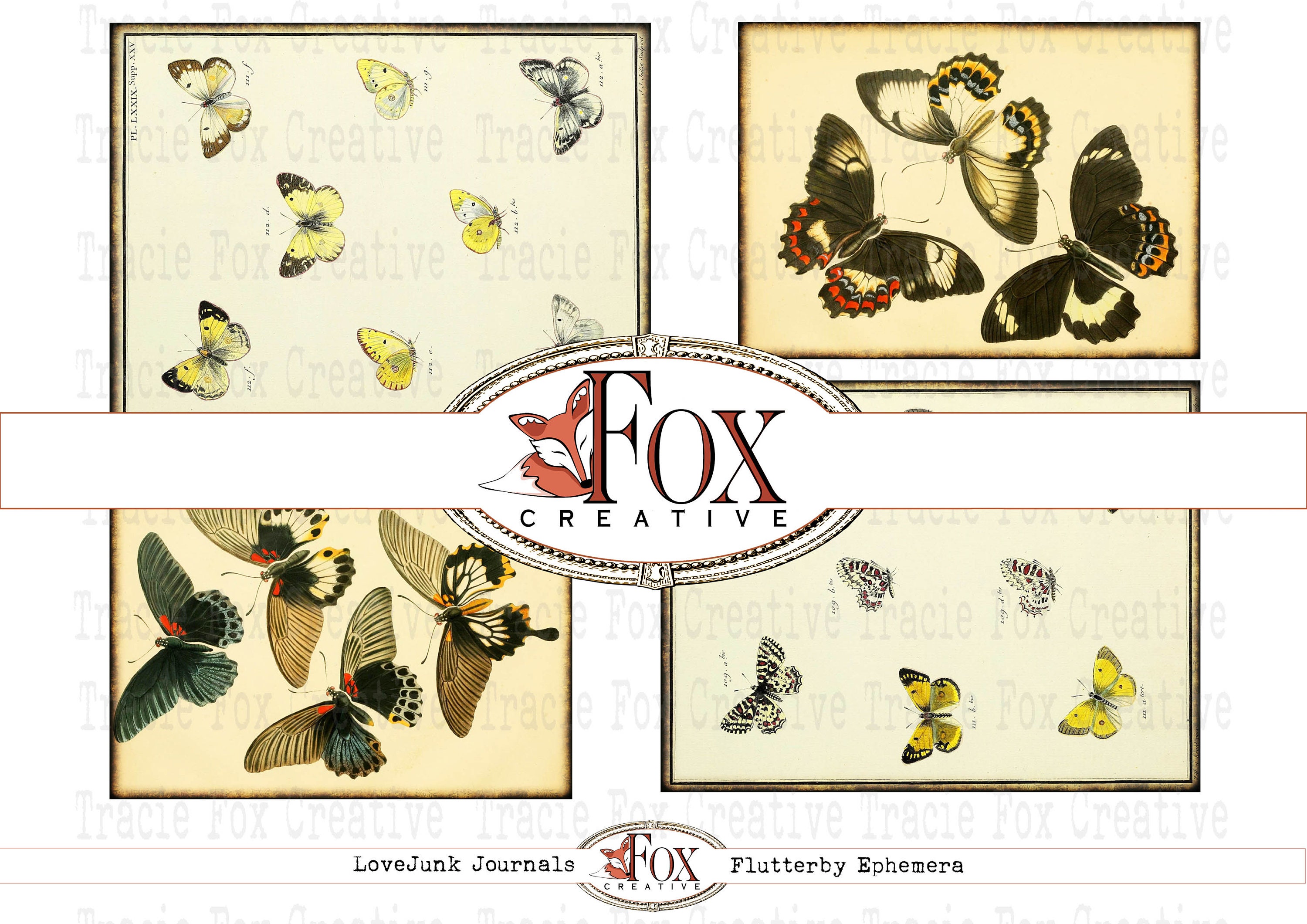 Butterfly Ephemera Flutterby Digital Kit DIGI19 31 | Etsy