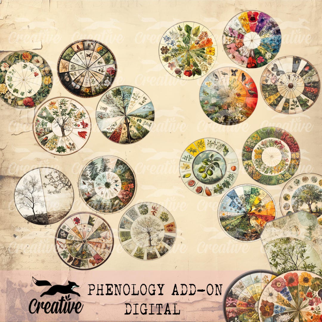 PHENOLOGY Paper ADD-ON Ephemera/planner Elements, Journal/scrapbooking ...