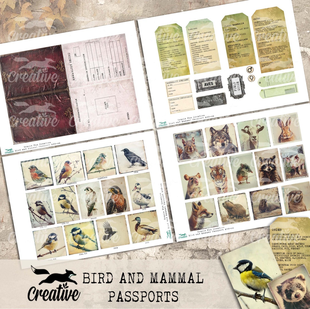Bird and Mammal Passports (passport Set 2), Digital Ephemera Kit ...