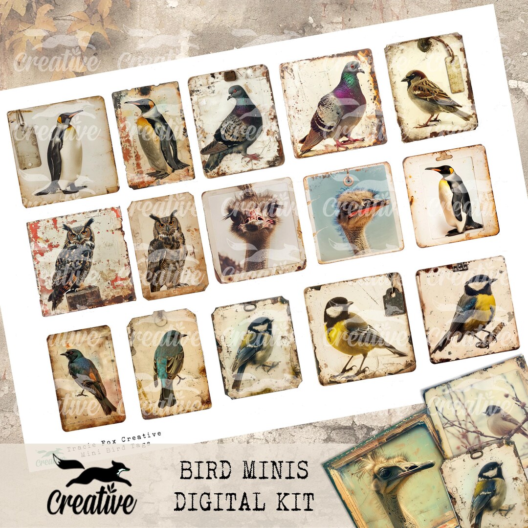 BIRDS MINIS, Digital Bird Journals/scrapbooking Kit, Printable Bird ...
