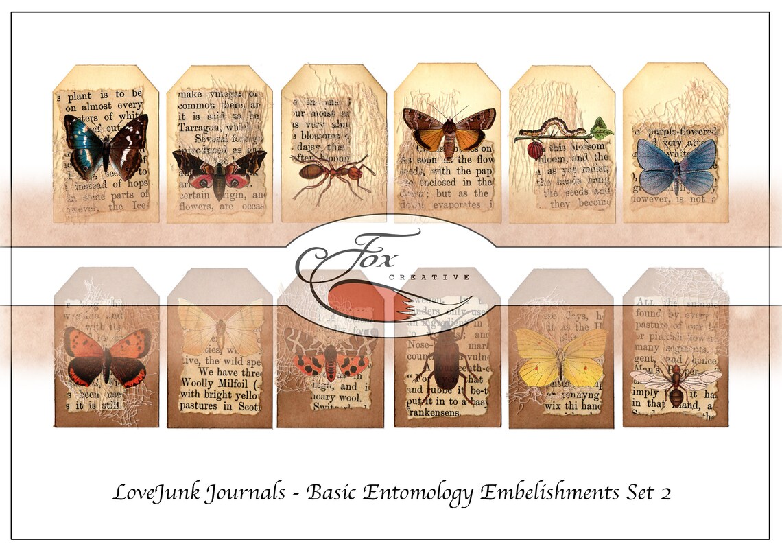 Entomology Digital Embellishment. Mini Basic Entomology Set 2. | Etsy