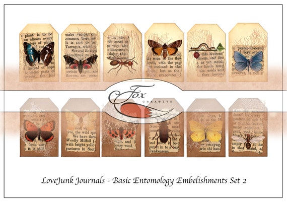 Basic Entomology