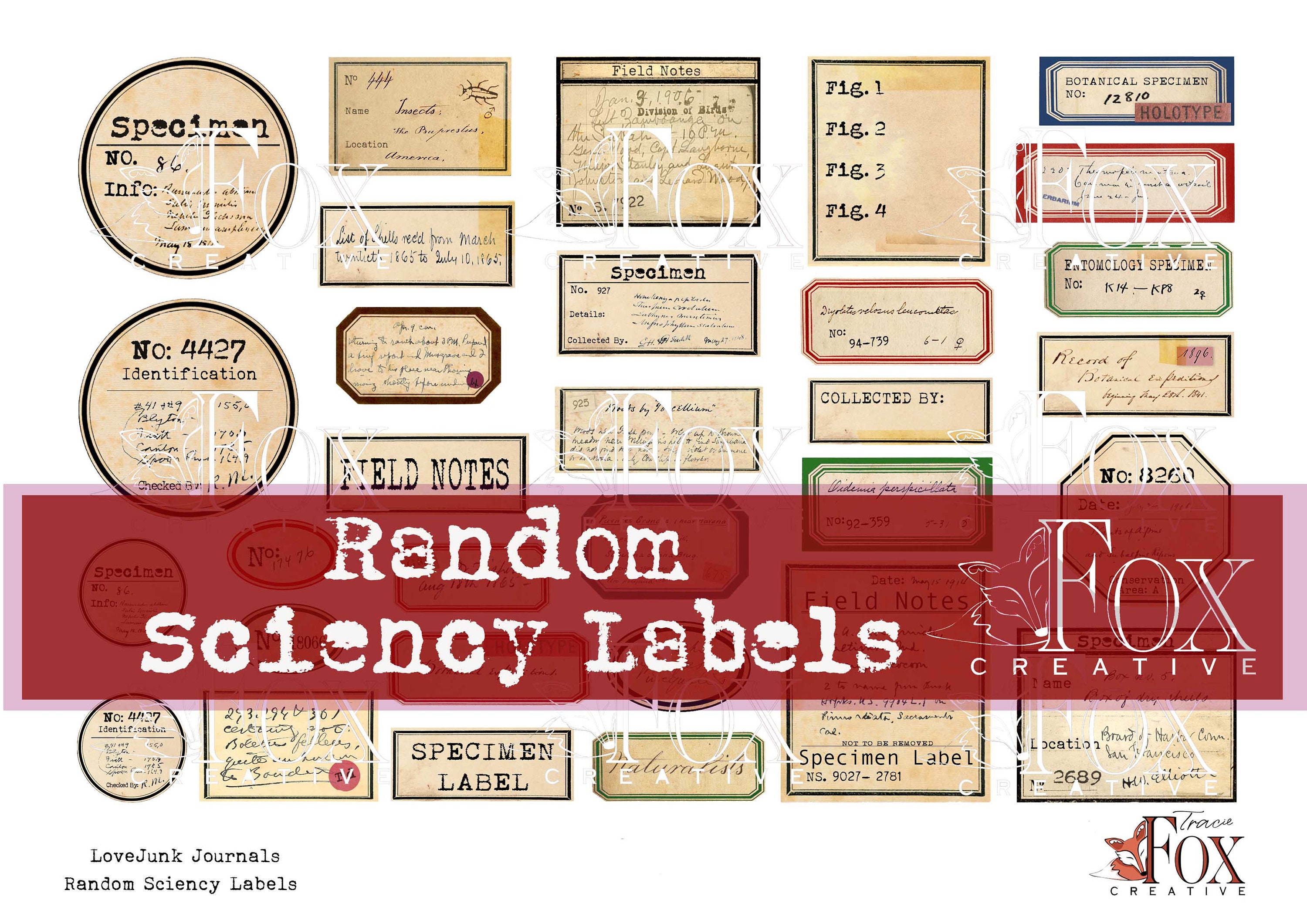 Random Sciency Digital Labels DIGI20 29: Specimen, Identification ...