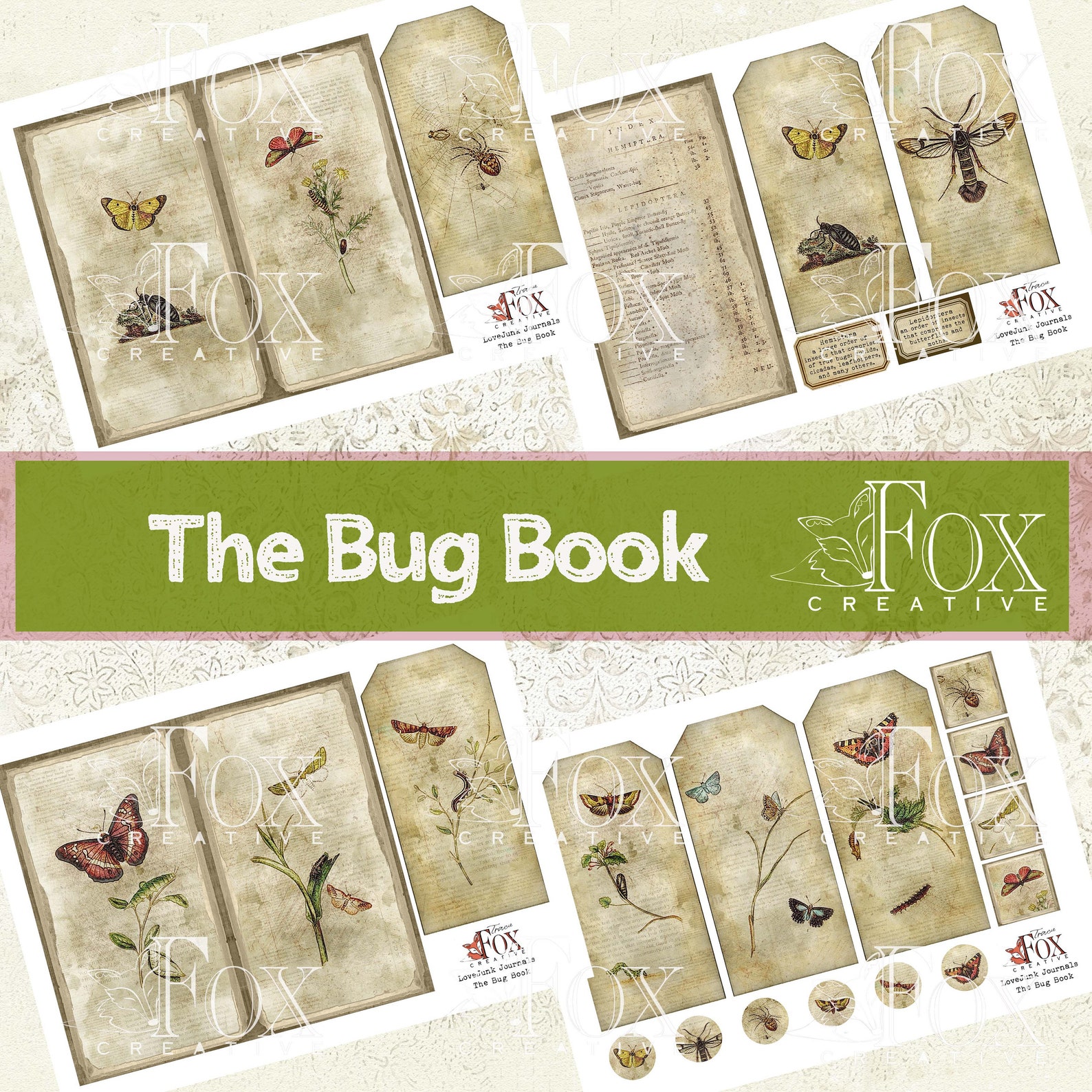 The Bug Book Digital Kit DIGI20 41 | Etsy
