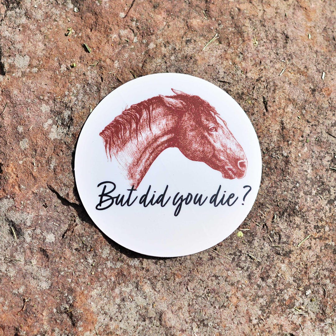 Equestrian Chestnut Mare Sticker: Horse Laptop Decal - Etsy