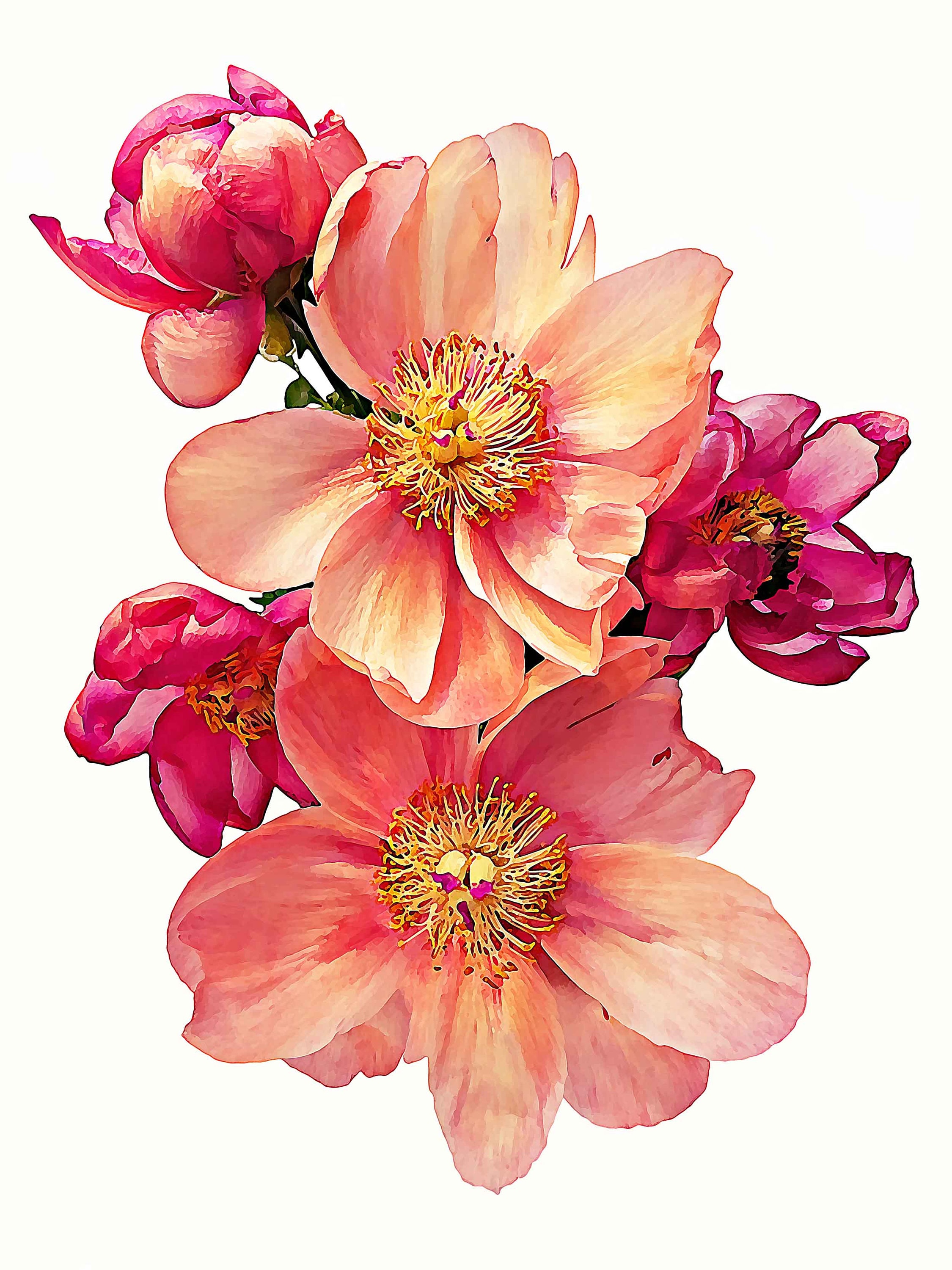 Pink Flowers Print Floral Poster Pink Flowers Decor Flowers | Etsy Pink Flowers Print Floral Poster Pink Flowers Decor Flowers | Etsy