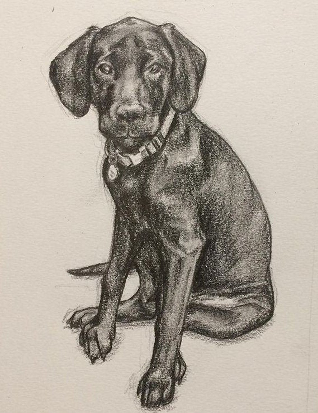 Custom Graphite Pet Portrait Single Subject Dog Portrait - Etsy UK