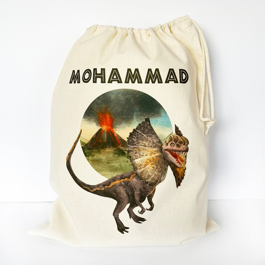Personalised DILOPHOSAURUS Dinosaur Storage Bag - Jurassic Party Gift ...
