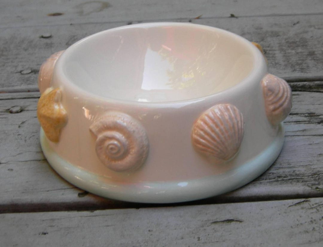 Custom TROPICAL SEA SHELL Dog/cat/pet Bowl/dish/feeder, Hand Painted ...