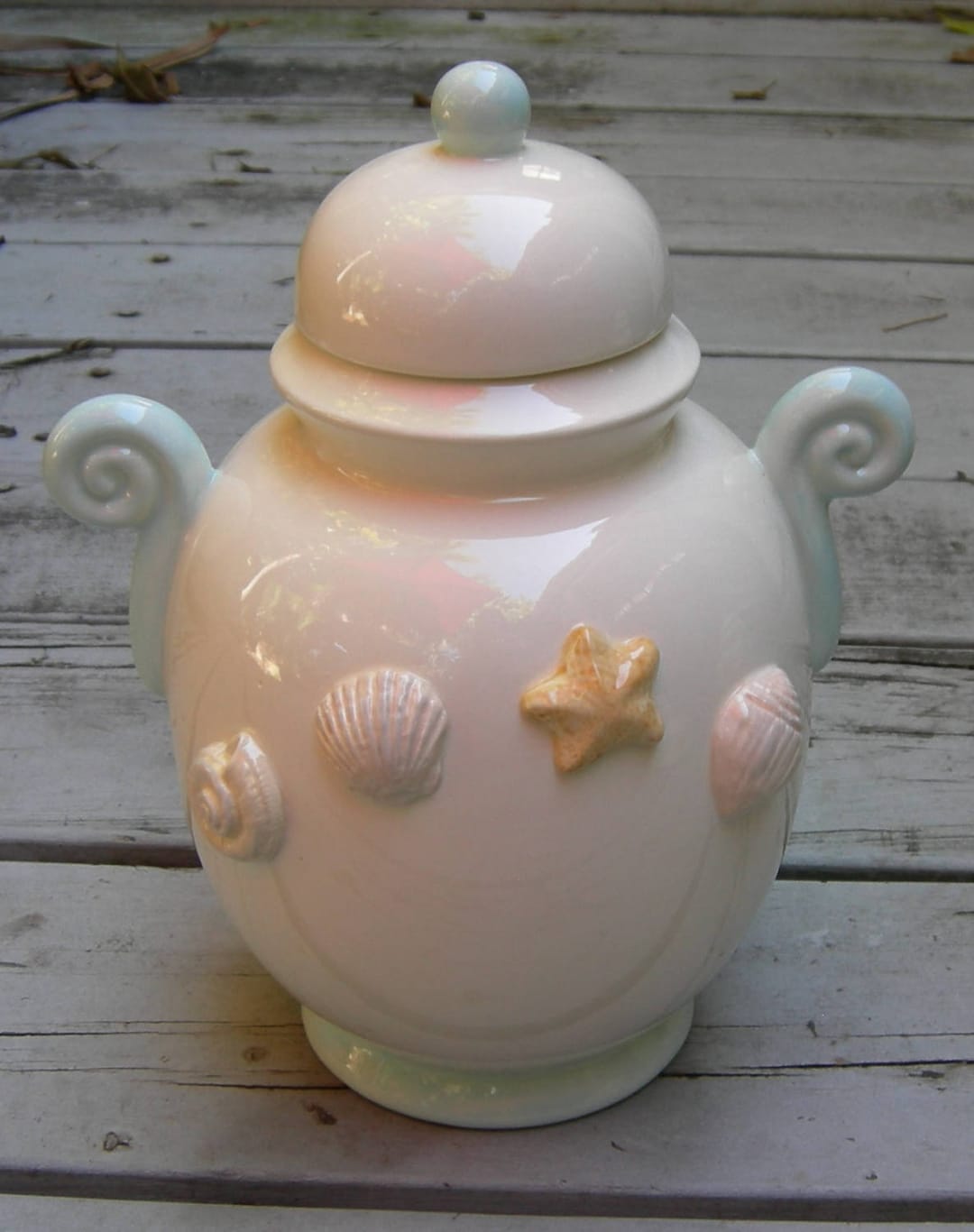 Custom Tropical SEA SHELL Ceramic Cookie/treat Jar, Beach House ...