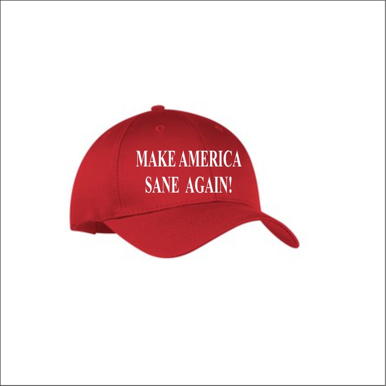 Make America Sane Again baseball cap political saying caps | Etsy