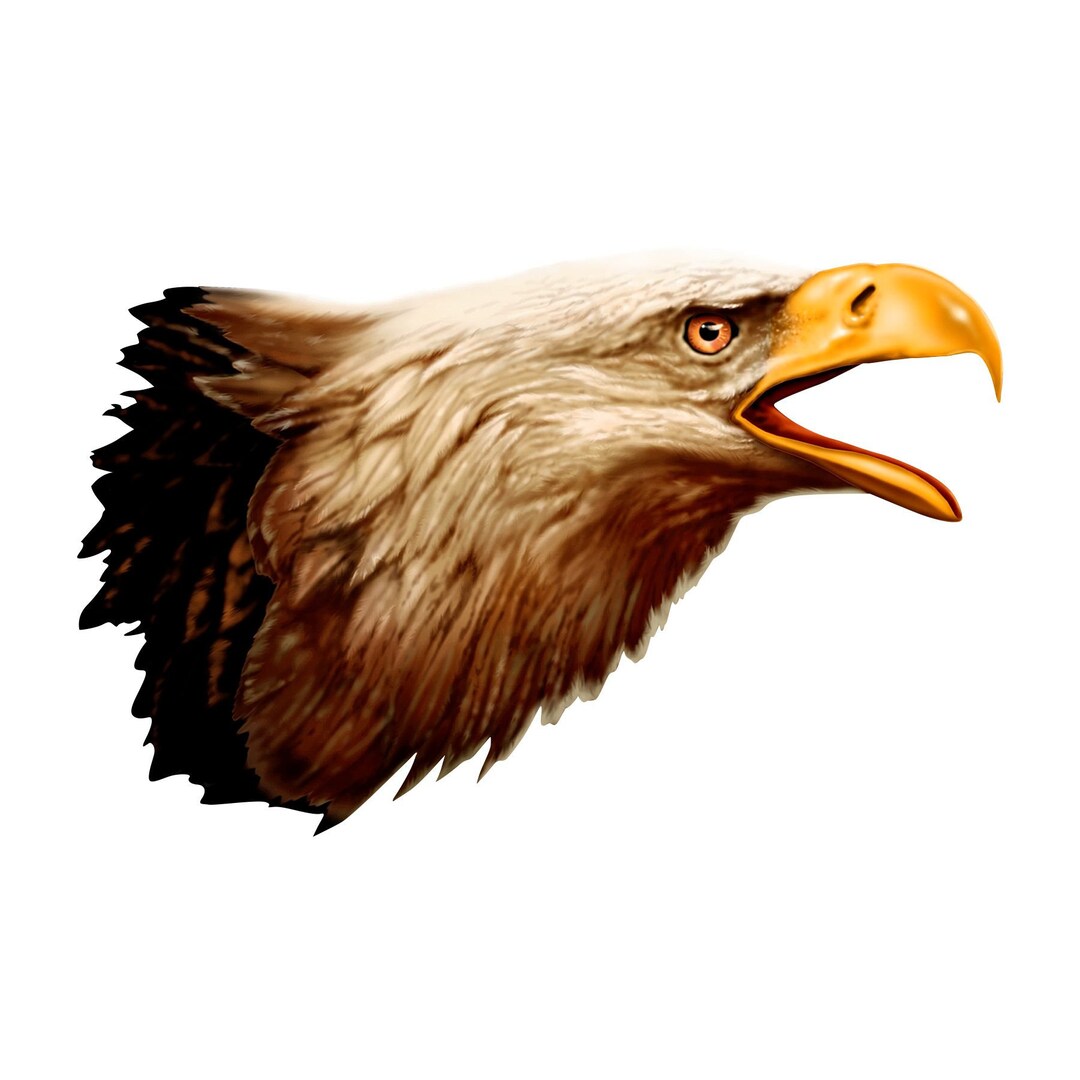 Side View Eagle Head Decal, American Eagle Decal, USA Eagle Decal, Full ...