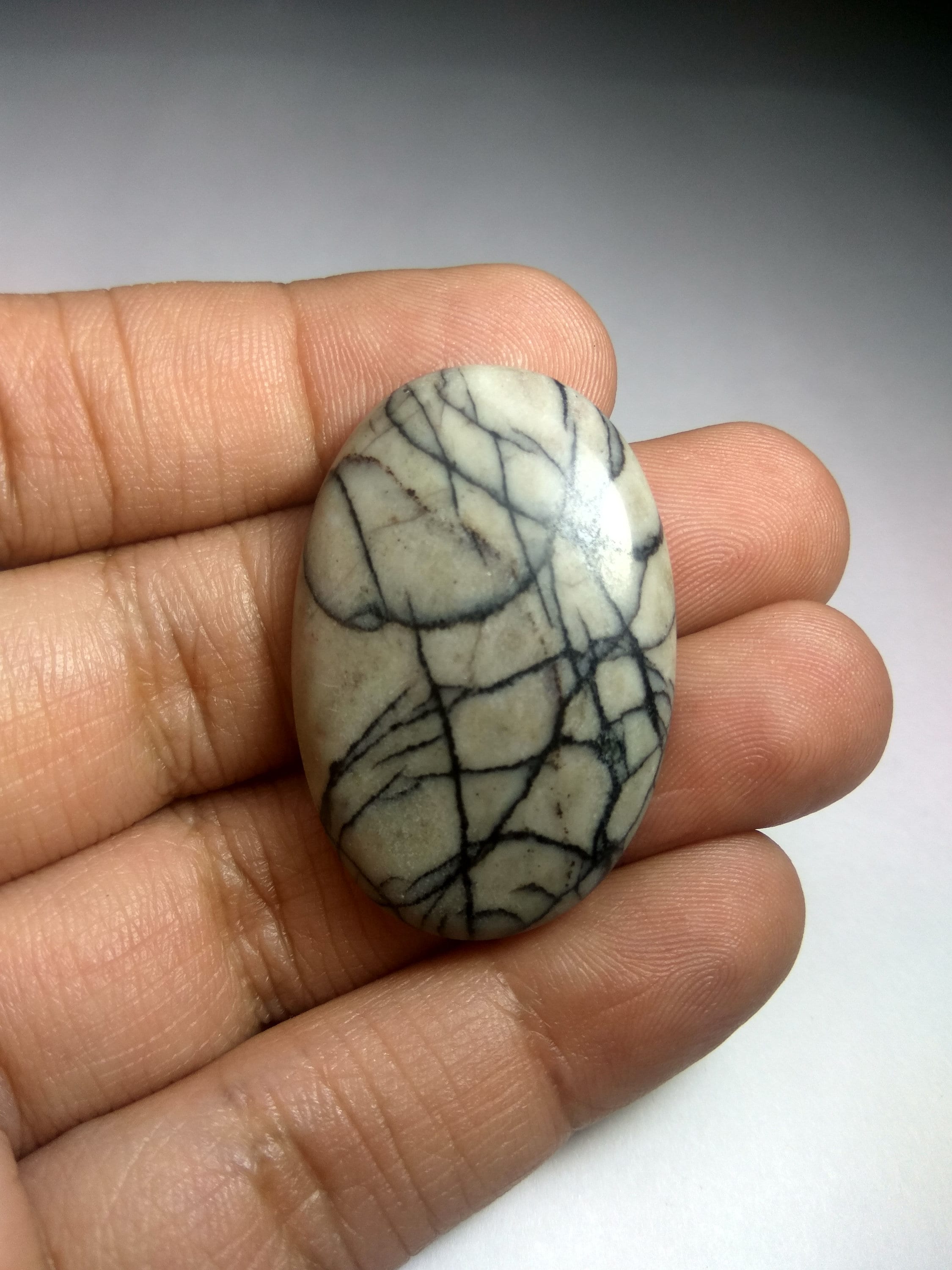 SPIDER WEB JASPER-Spider jasper cabochon-Oval Spider | Etsy