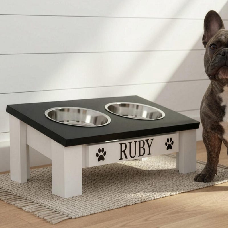 Cat Treat Stand - Etsy