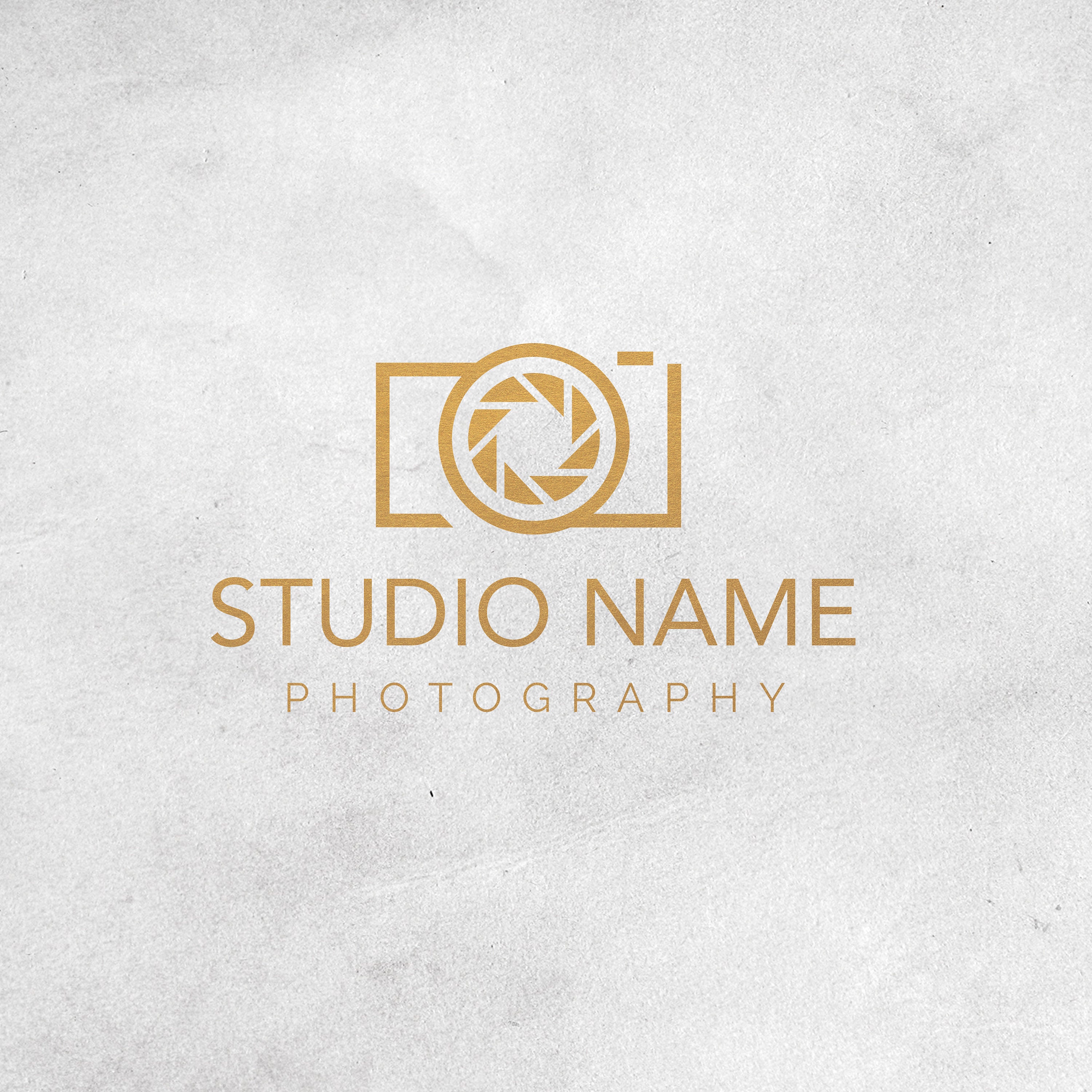 Gold and Silver Photography Logo, Camera Logo, Wedding Photography Logo ...