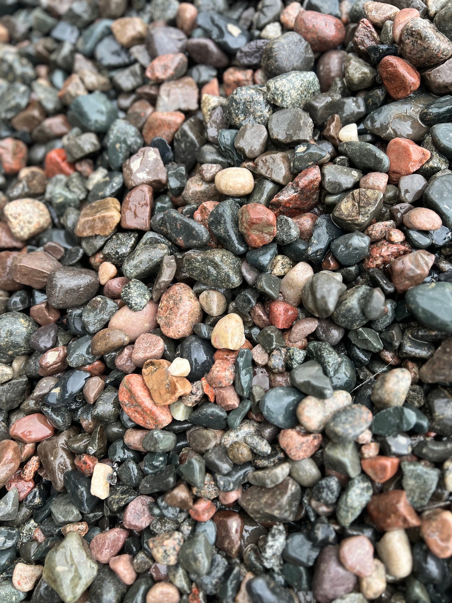 Blue River Round Stone #57 1 Gallon Bag - Etsy