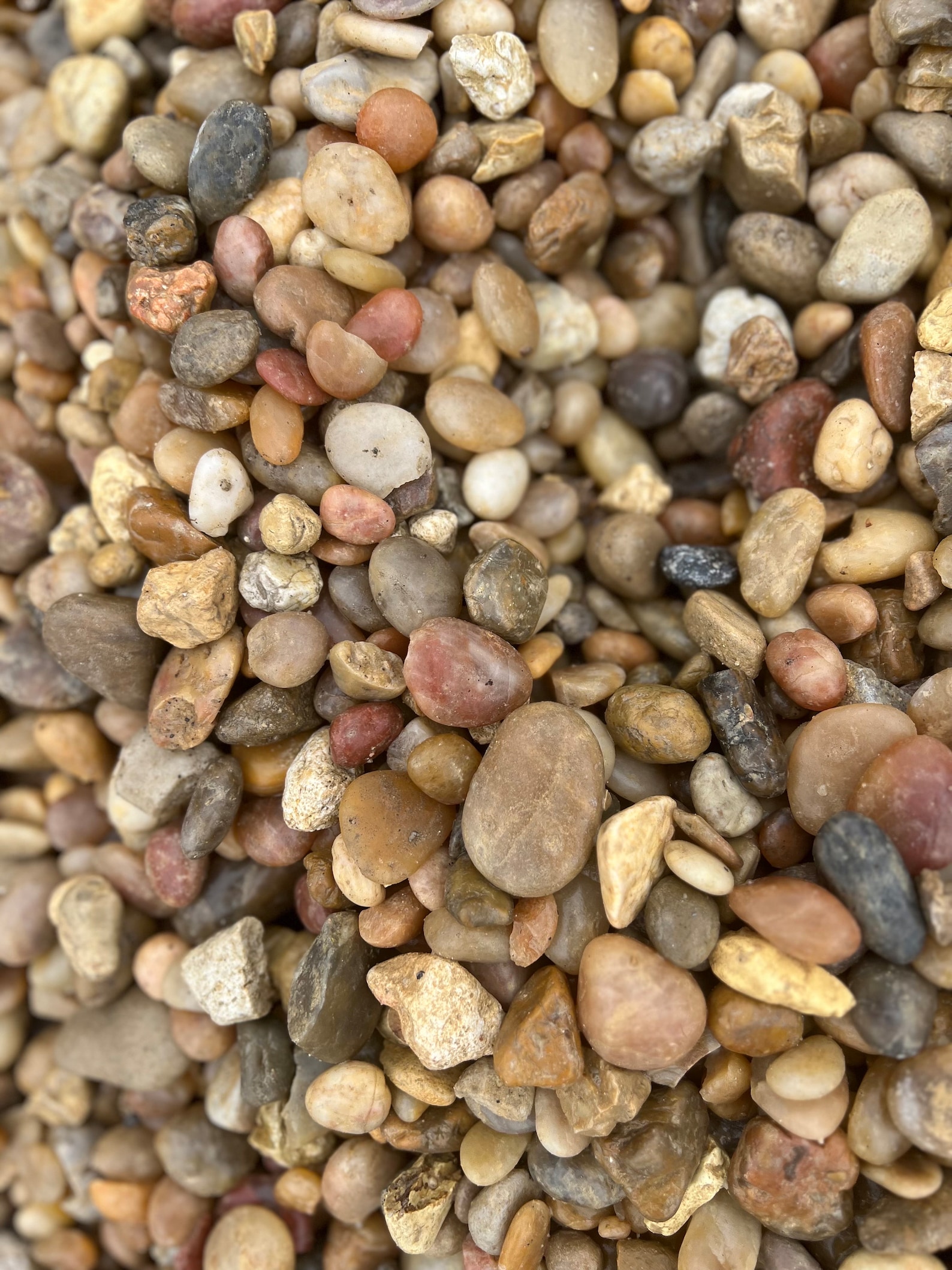 Alabama Sunset Stone – Captivating & Versatile Landscaping Accent - 1 ...