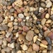 Alabama Sunset Stone – Captivating & Versatile Landscaping Accent - 1 ...
