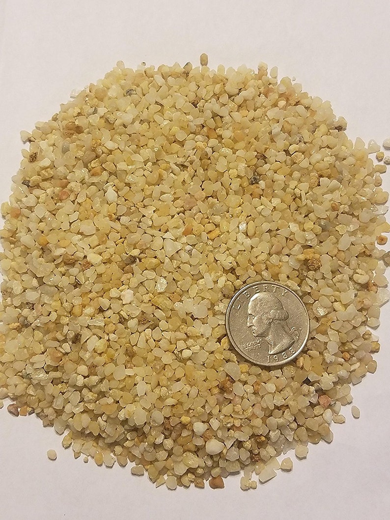 Coarse Silica Sand 1 Quart for Bonsai, Cacti, Succulent, and ...