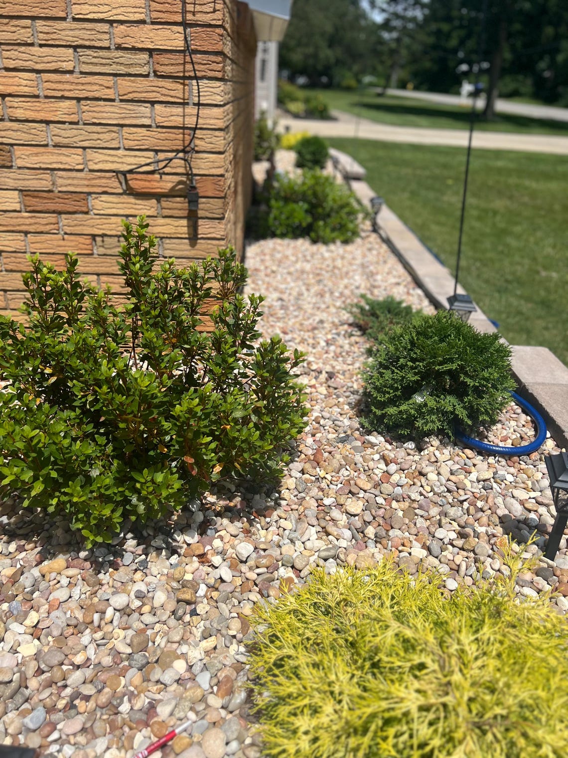 Alabama Sunset Stone – Captivating & Versatile Landscaping Accent - 1 ...