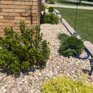 Alabama Sunset Stone – Captivating & Versatile Landscaping Accent - 1 ...