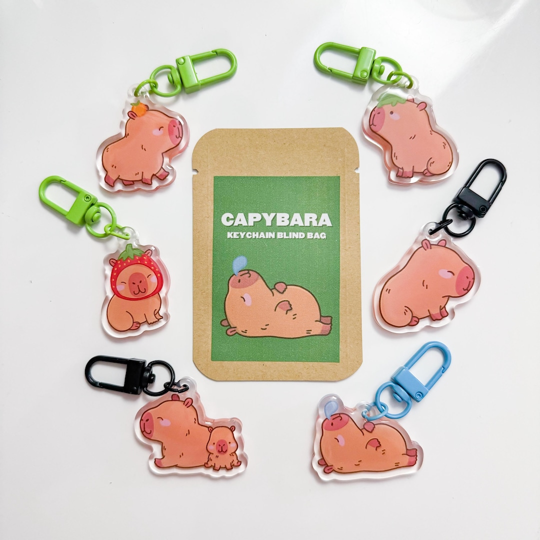 Capybara Keychain Blind Bag - Etsy