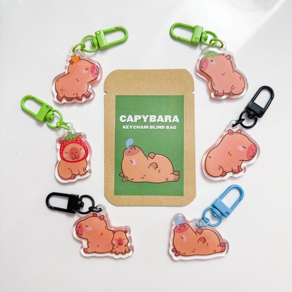 Blind Boxes Capybara - Etsy