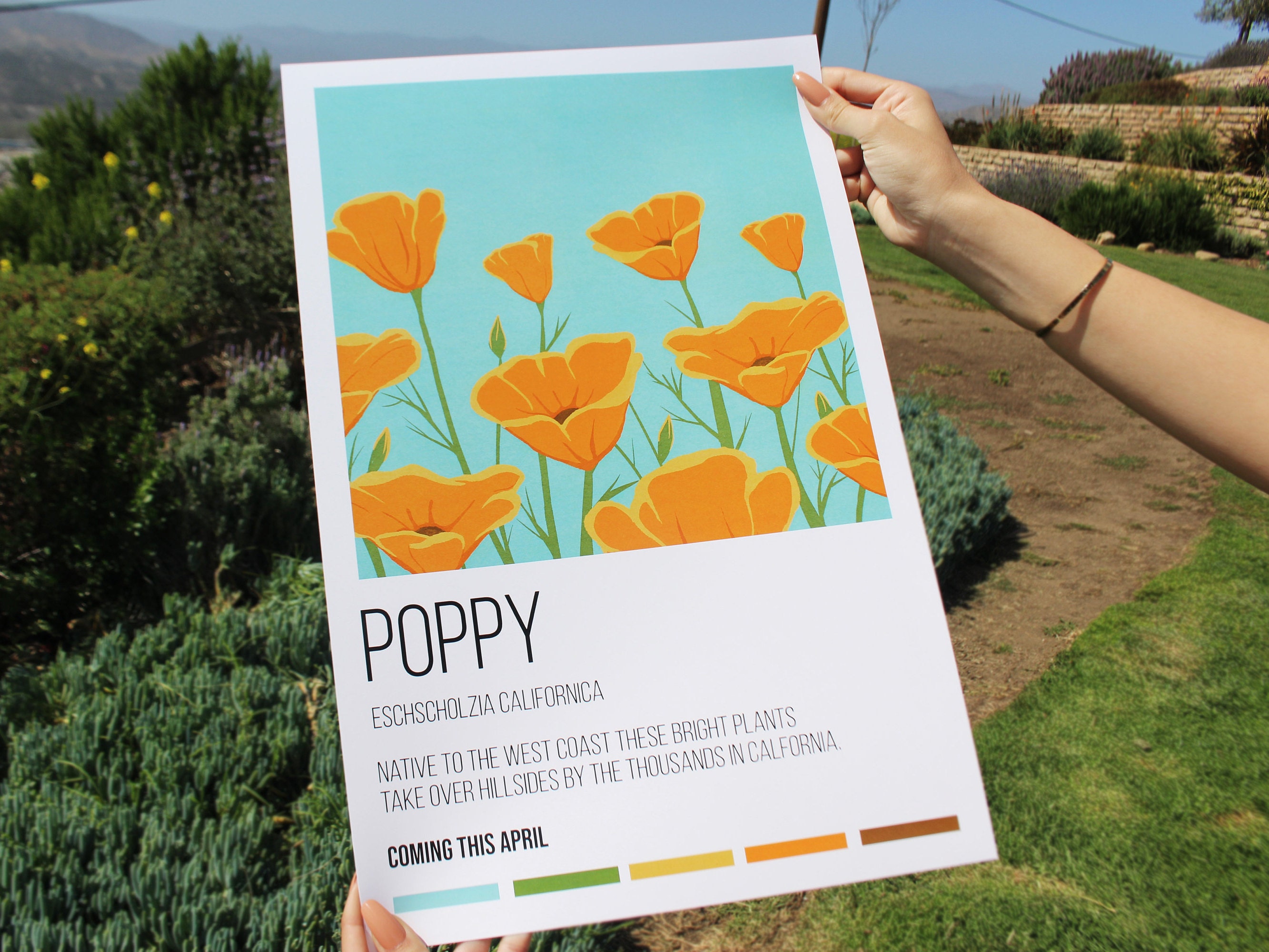 Retro Film Flower Poster Set Indie Movie Posters California - Etsy