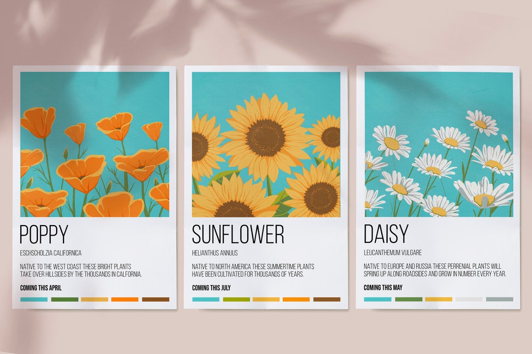 Retro Film Flower Poster Set Indie Movie Posters California - Etsy