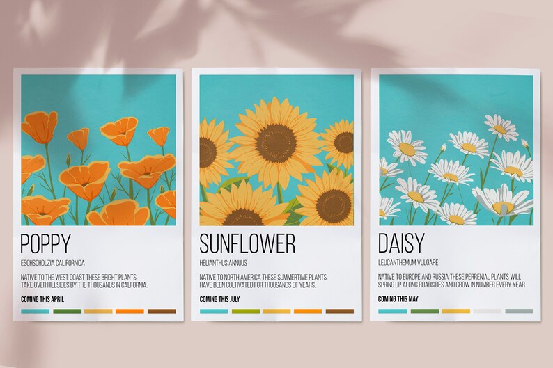 Retro Film Flower Poster Set Indie Movie Posters California - Etsy