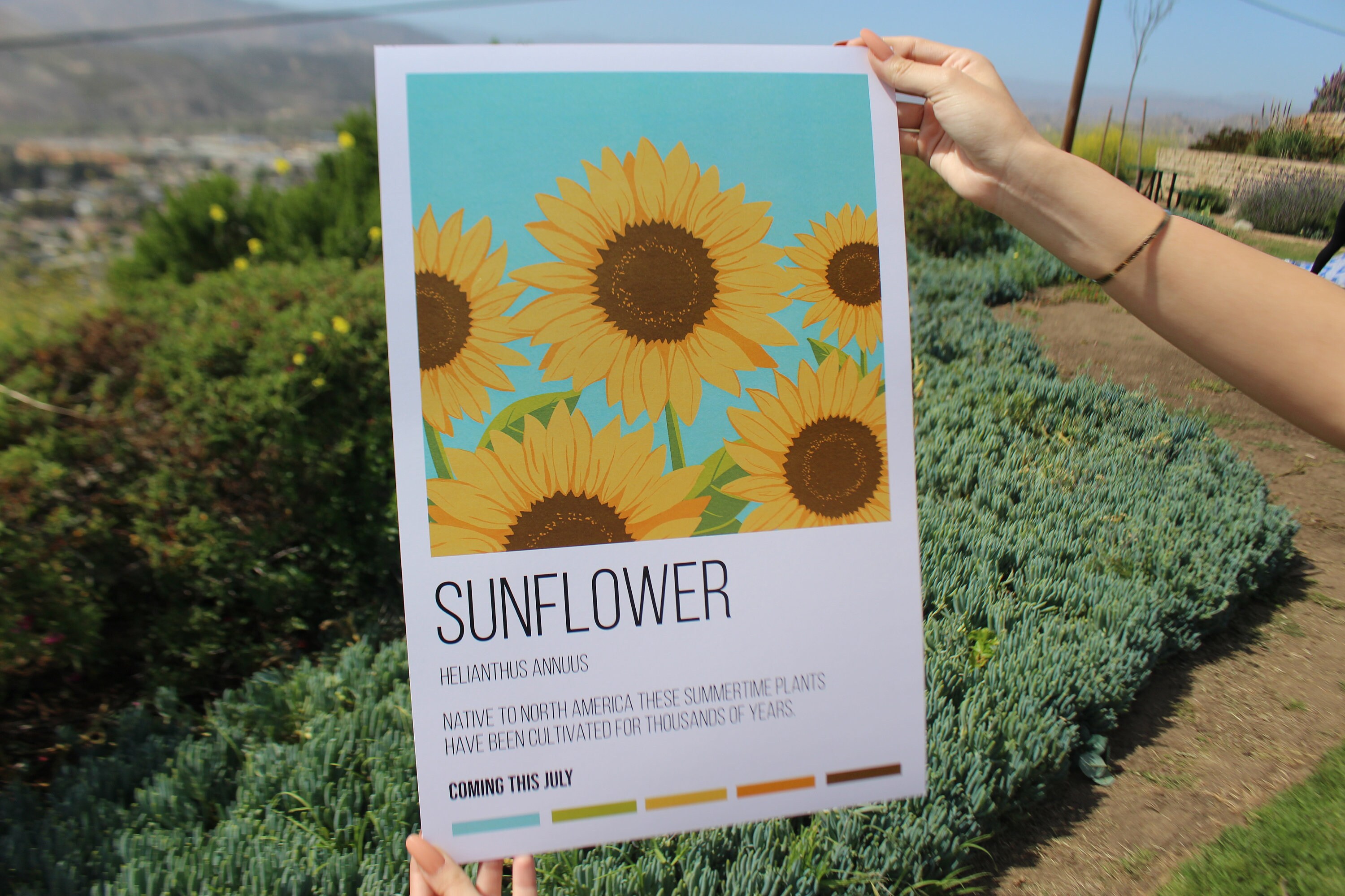 Retro Film Flower Poster Set Indie Movie Posters California - Etsy