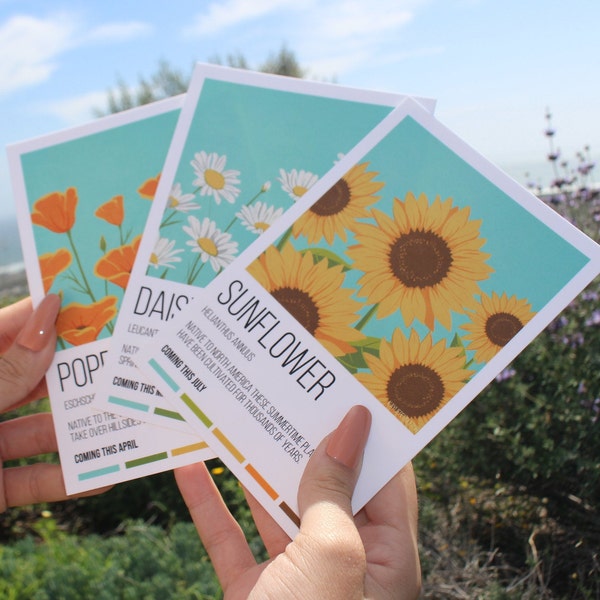 Postcard Set - Etsy
