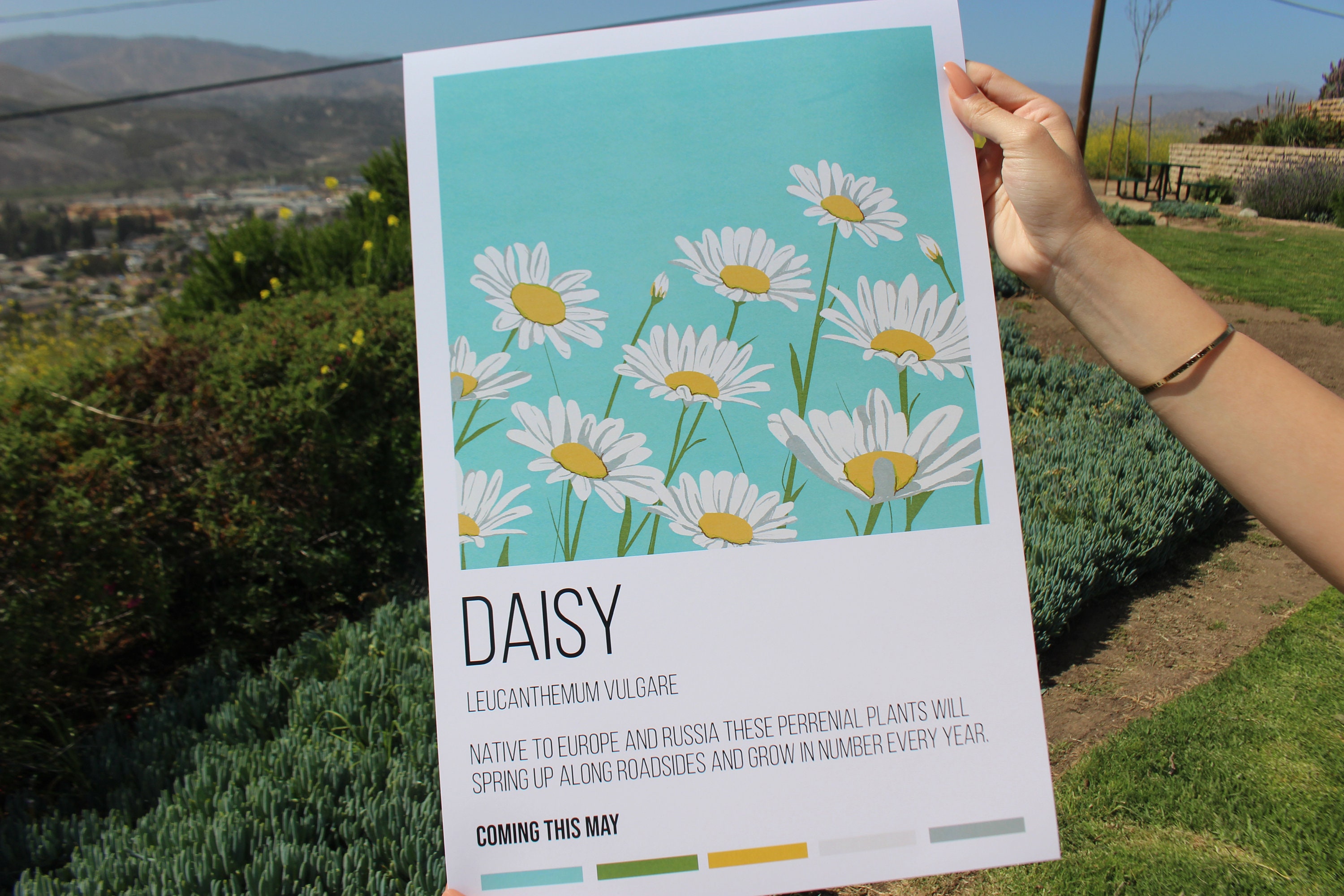 Retro Film Flower Poster Set Indie Movie Posters California - Etsy