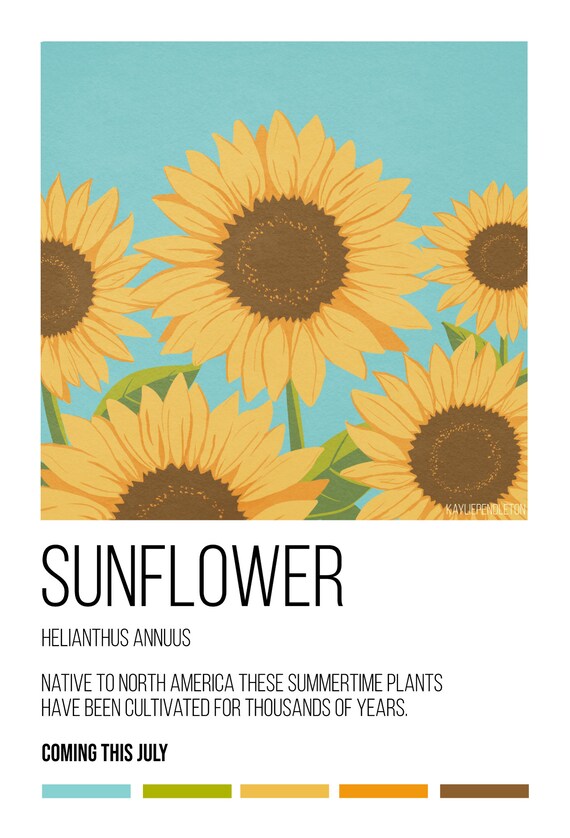 Indie Movie Posters