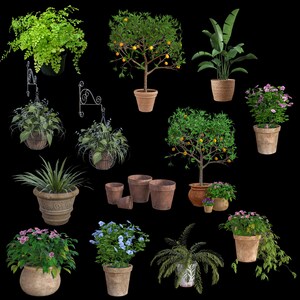 Digital Flowers and Pot Plant Overlays, Png Files for Photographers ...