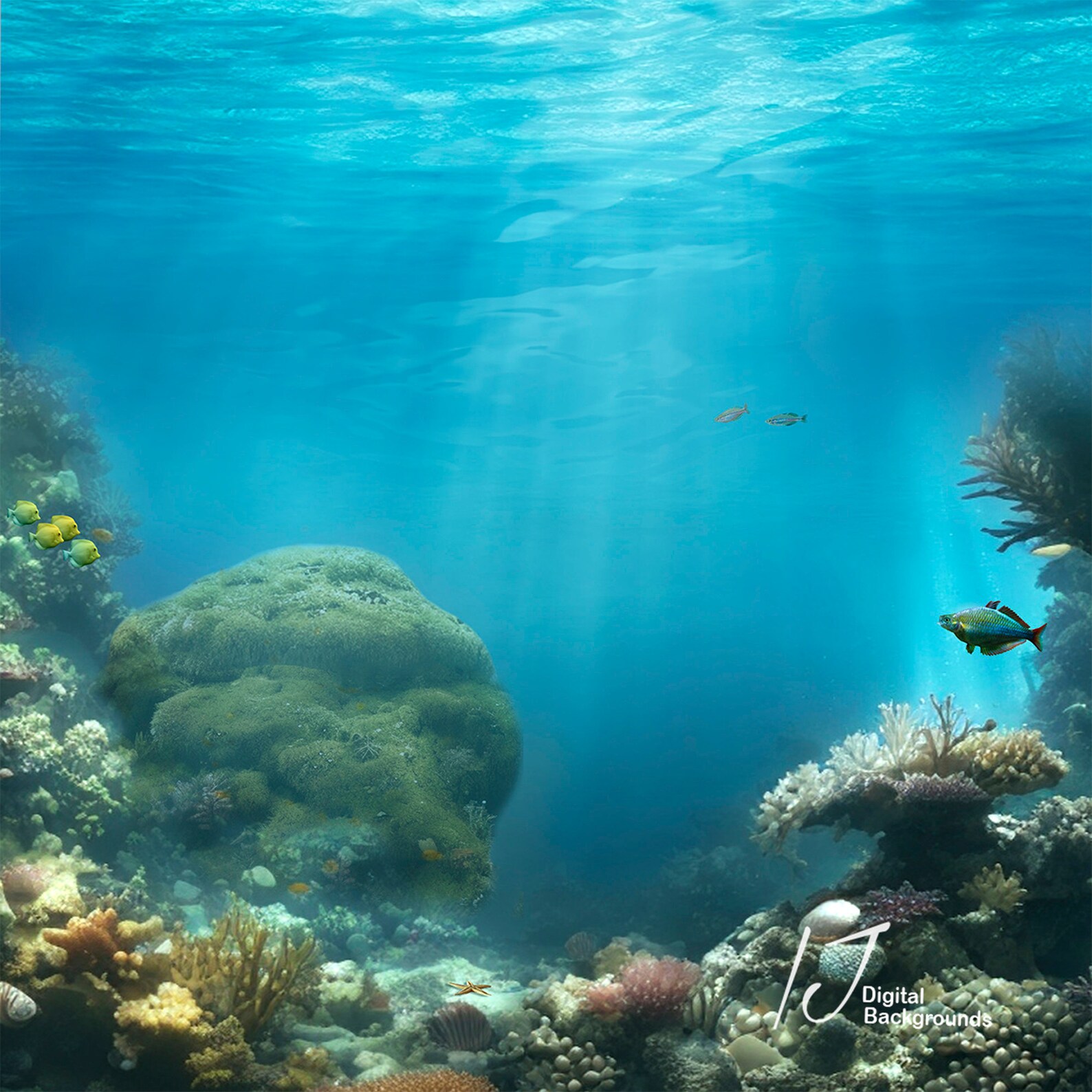Mermaid Underwater Rock Background, Underwater Photography, Photoshop ...